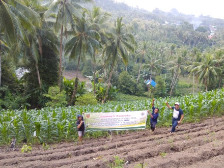 Kepmendesa PDT Nomor 3 Tahun 2025 tentang Panduan Penggunaan Dana Desa Untuk Ketahanan Pangan ...